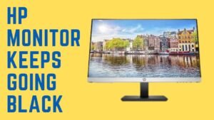 Hp Monitor Keeps Going Black [13 Easy Ways] – Monitors Hype